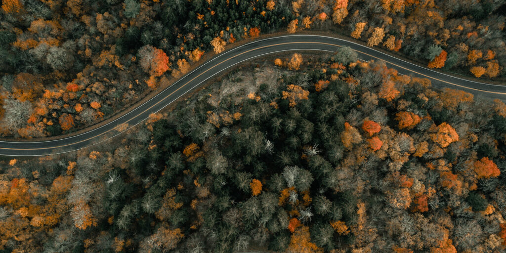 Mapping a new path - Health Justice Australia