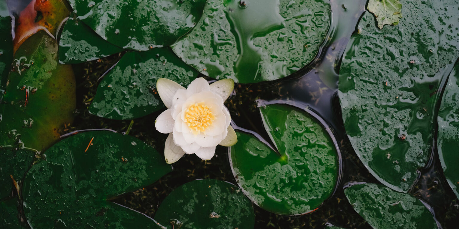 Working together for client wellbeing - Health Justice Australia